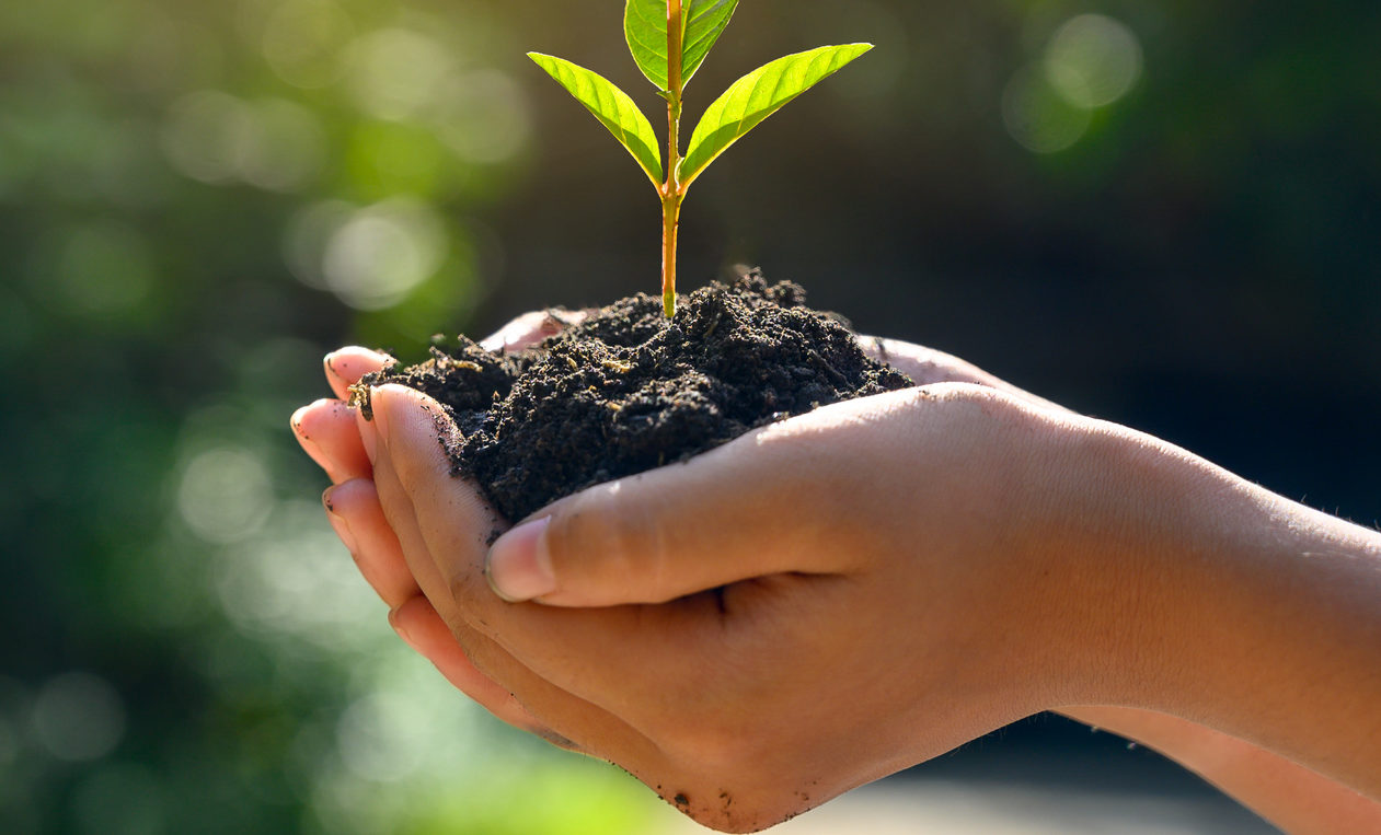 Funding opportunity: Programme Director for Enabling a responsible AI ...