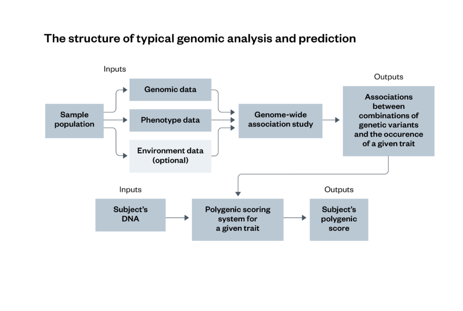 Predicting: The future of health? | Ada Lovelace Institute